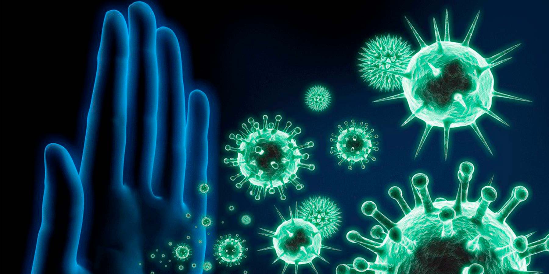 ¿Qué es la Inmunosenescencia? - Vita Biosa Probiótico